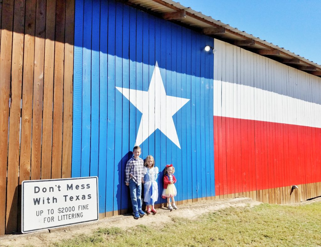 YesterLand Farm: A Texas Family Tradition – The Flying Hens
