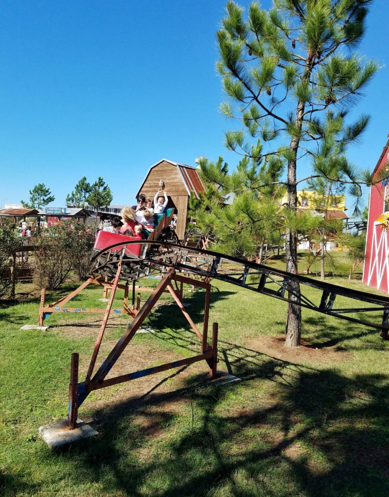 YesterLand Farm: A Texas Family Tradition – The Flying Hens