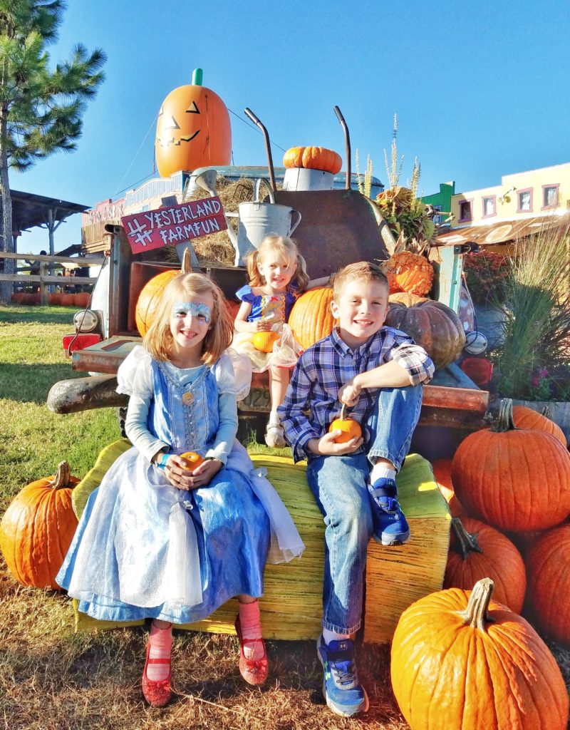 YesterLand Farm: A Texas Family Tradition – The Flying Hens