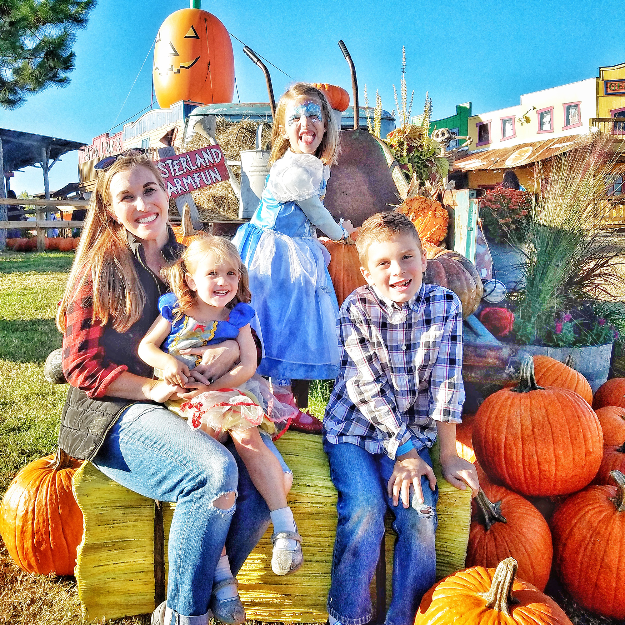 YesterLand Farm: A Texas Family Tradition – The Flying Hens